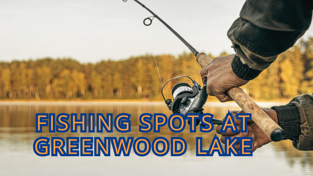 Is Greenwood Lake Good for Fishing?